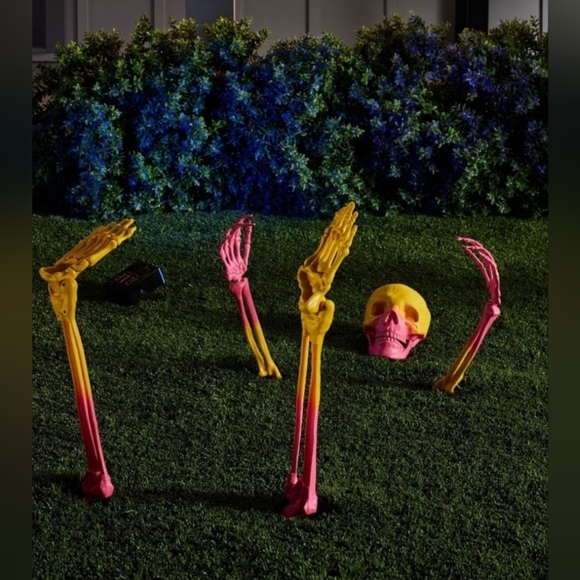 Holiday | Hide And Eek 5pc Night Of The Vivid Dead Ombre Skeleton ...